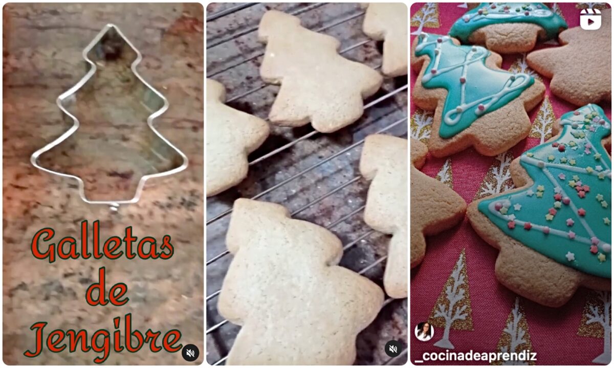 GALLETAS de JENGIBRE | Receta Casera